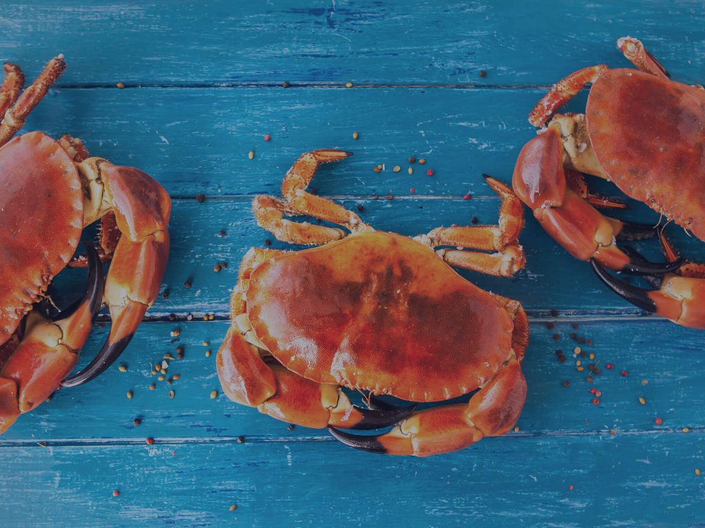 Whole Cooked Crab - Fresh Crab and seafood | Dorset Shellfish